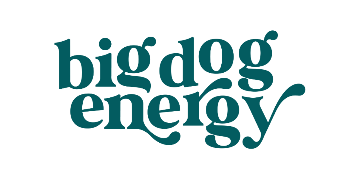 Top rated no-pull dog harnesses, collars and leashes by Big Dog Energy